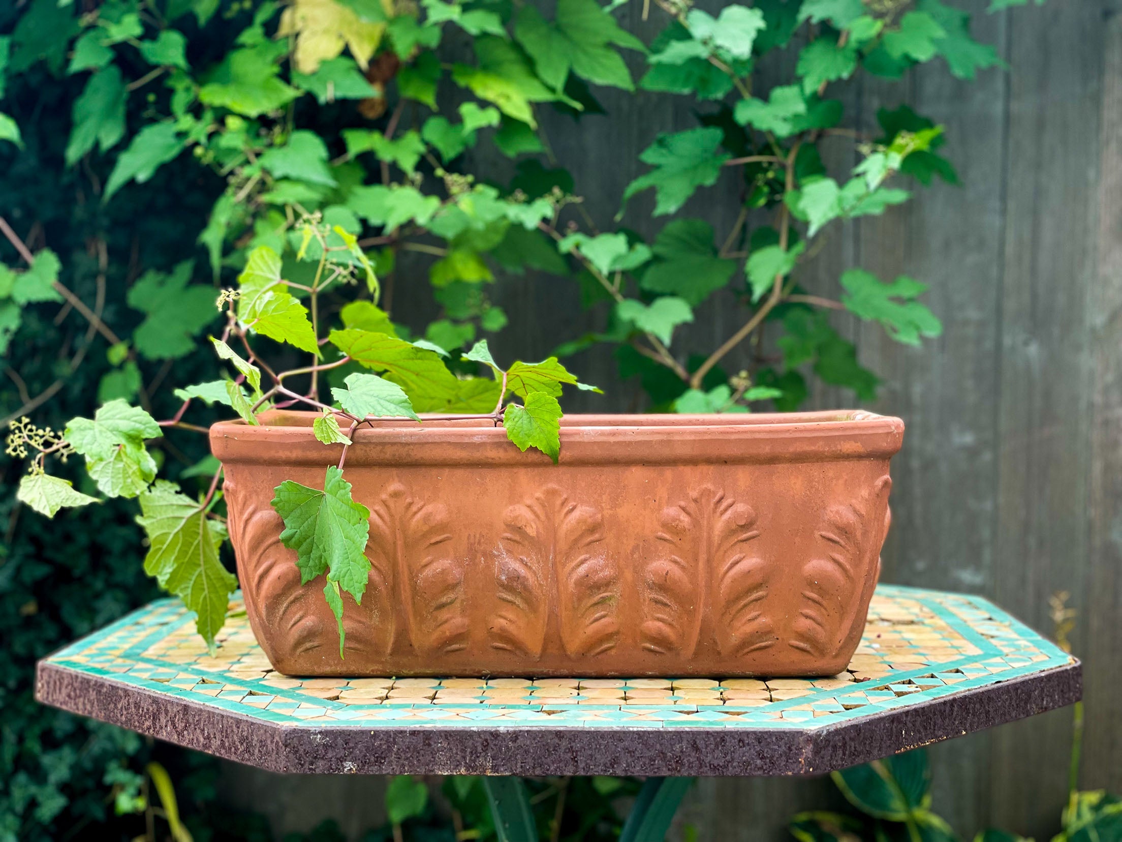 Terra Cotta Trough – Pumpkin Pond Farm